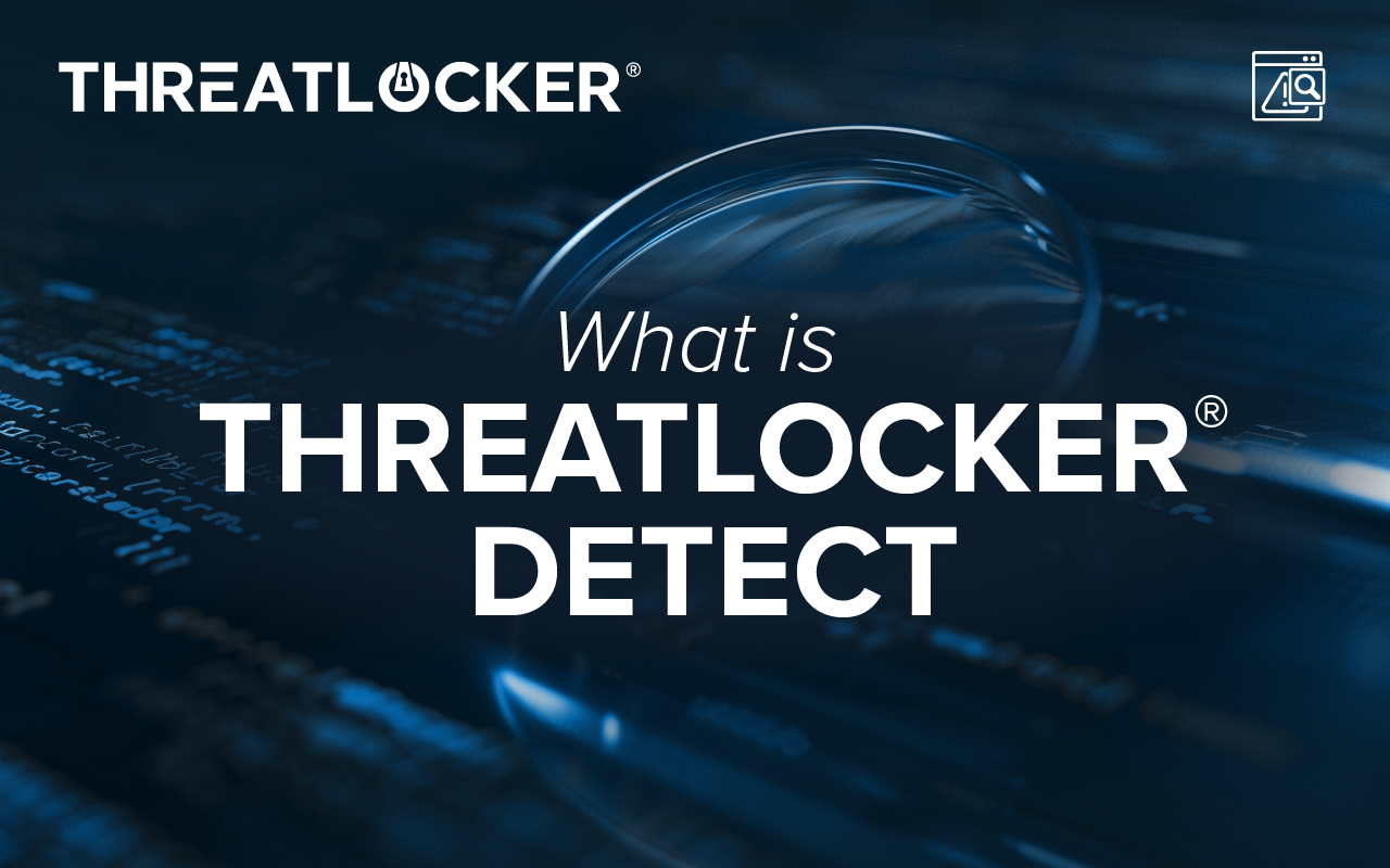 What is ThreatLocker® Detect?
